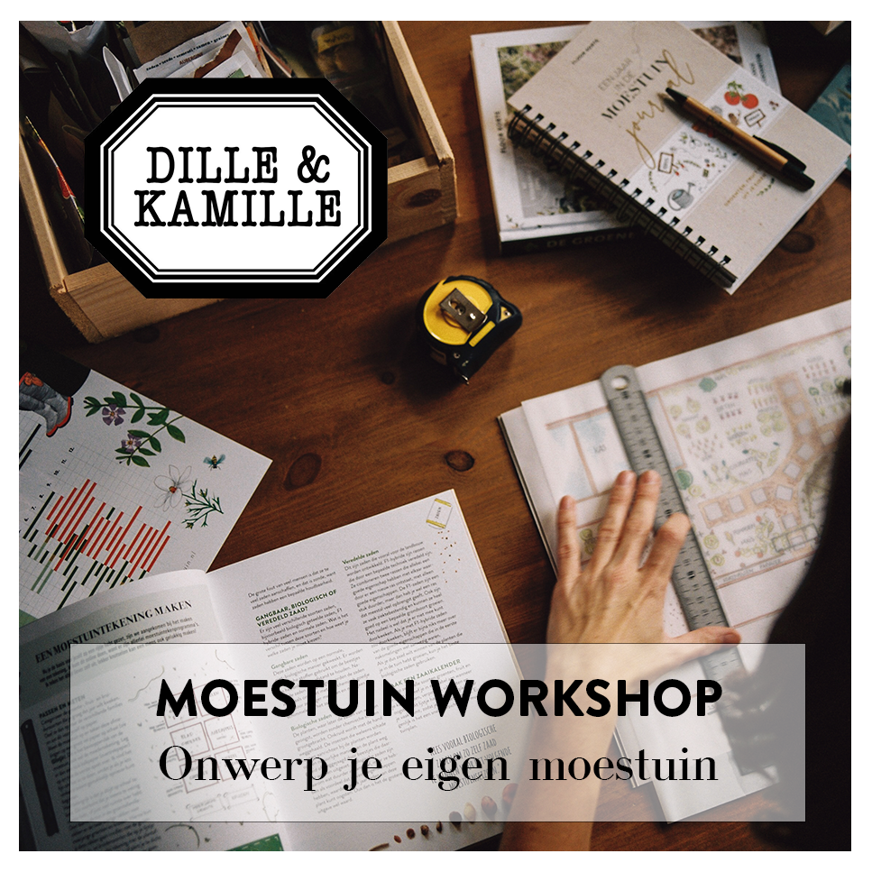 Moestuin workshop 'Ontwerp je eigen moestuin' - Floors Moestuin