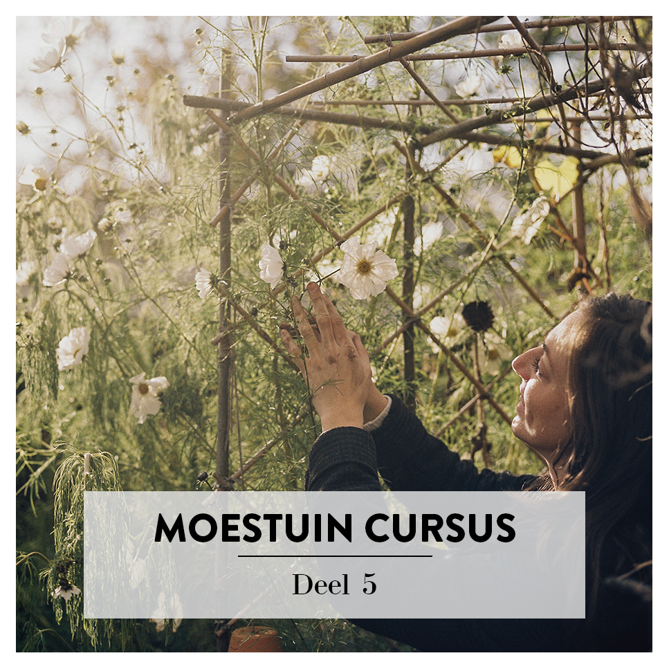 Moestuin workshop 'Ontwerp je eigen moestuin' - Floors Moestuin